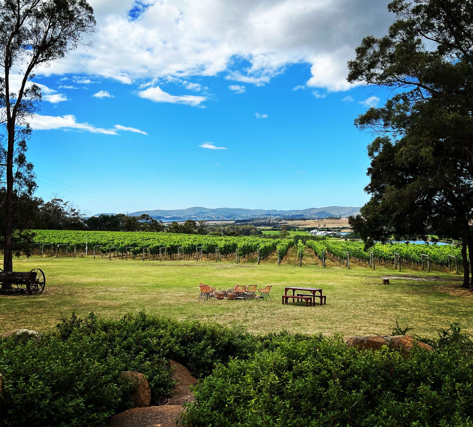 Contact | Tamar Valley Wine Tours
